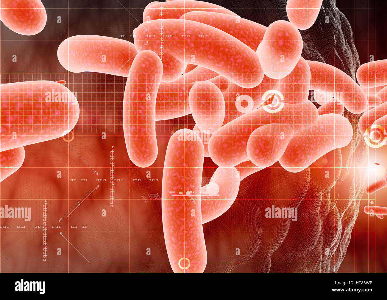 biology,cell,close-up,cluster,color,colour,computer graphics,digitally ...