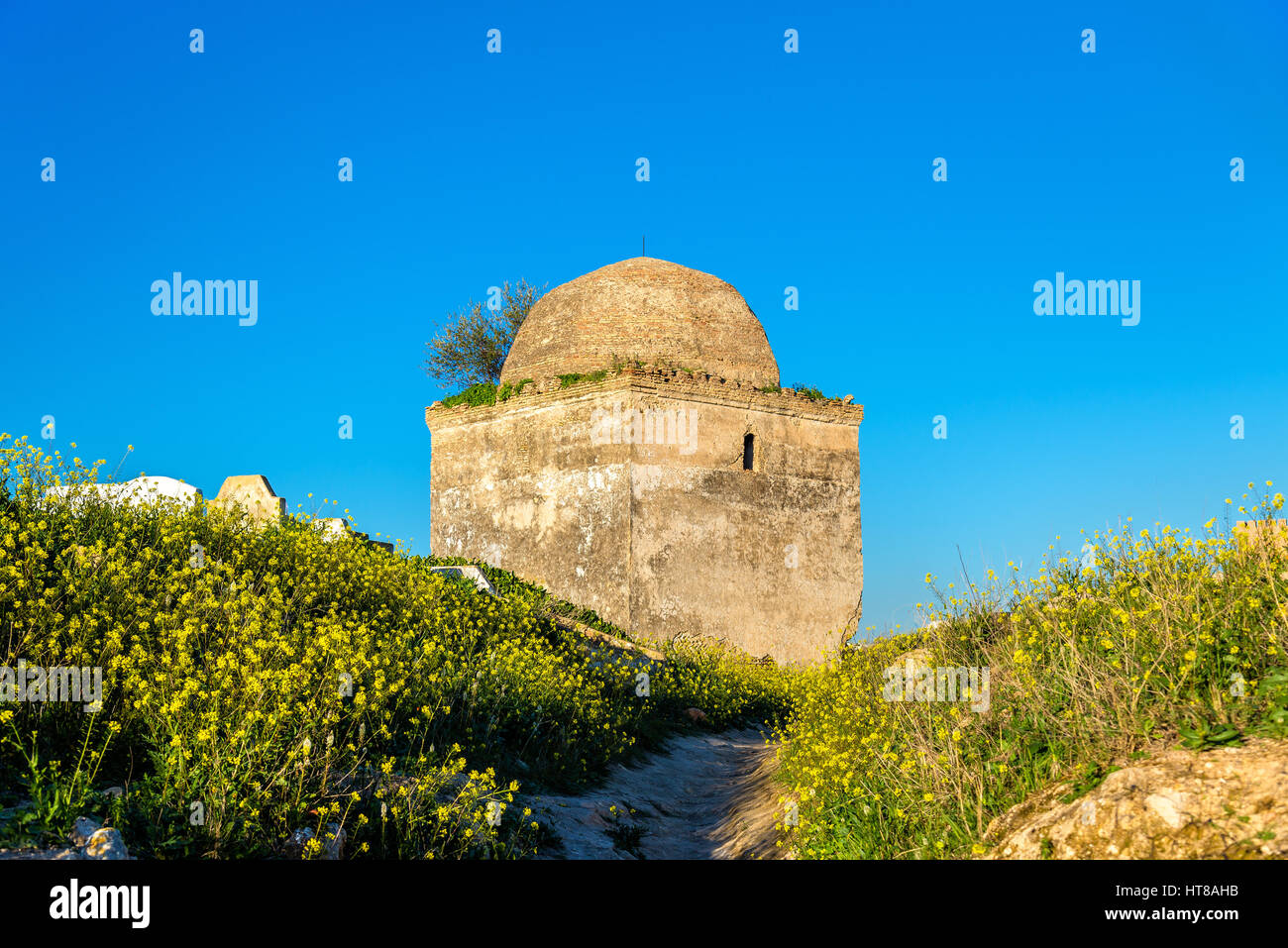 Arabic Cemetery High Resolution Stock Photography and Images - Alamy