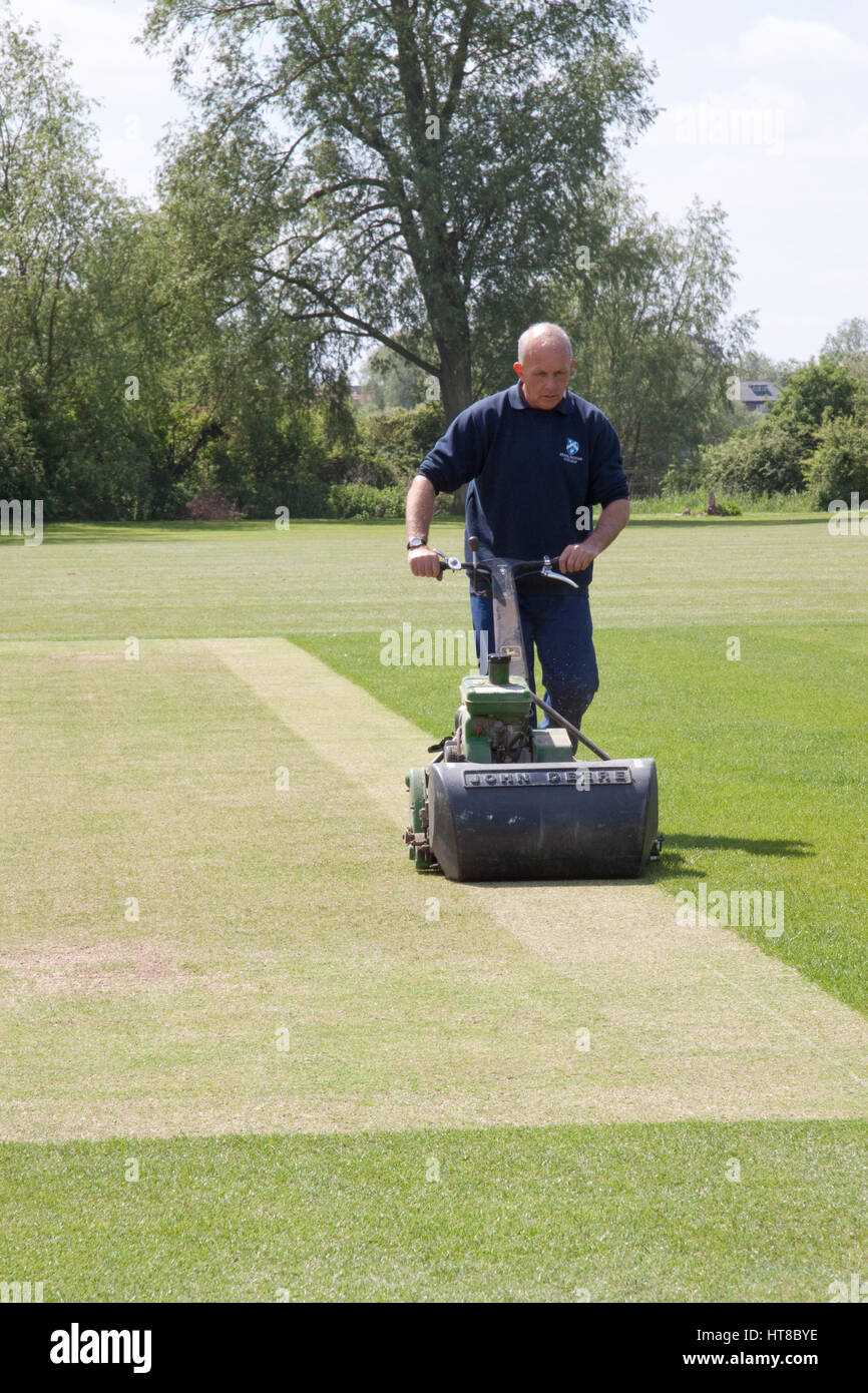Groundsman maintains a cricket ground Stock Photo - Alamy