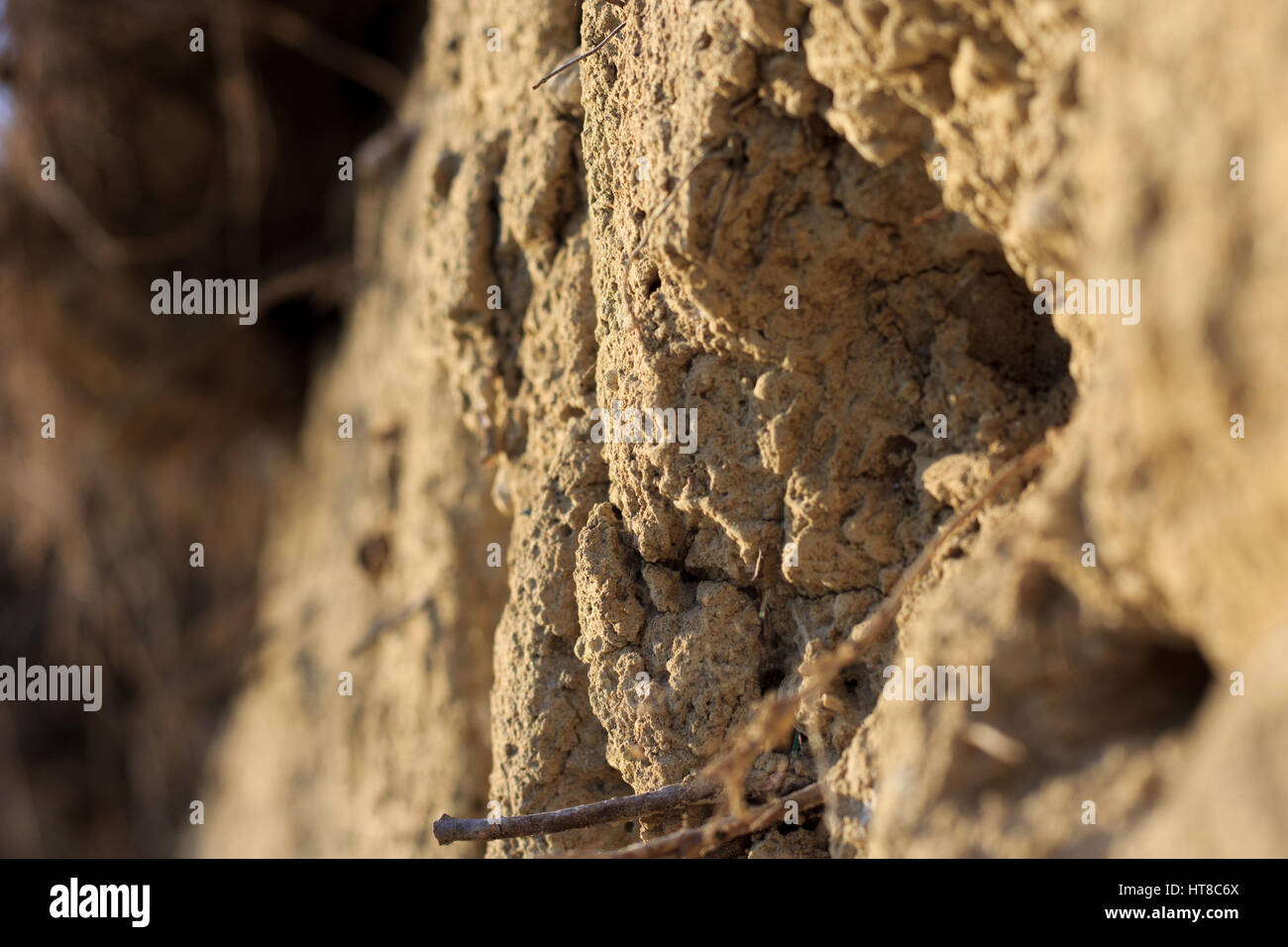 Land degradation hi-res stock photography and images - Alamy