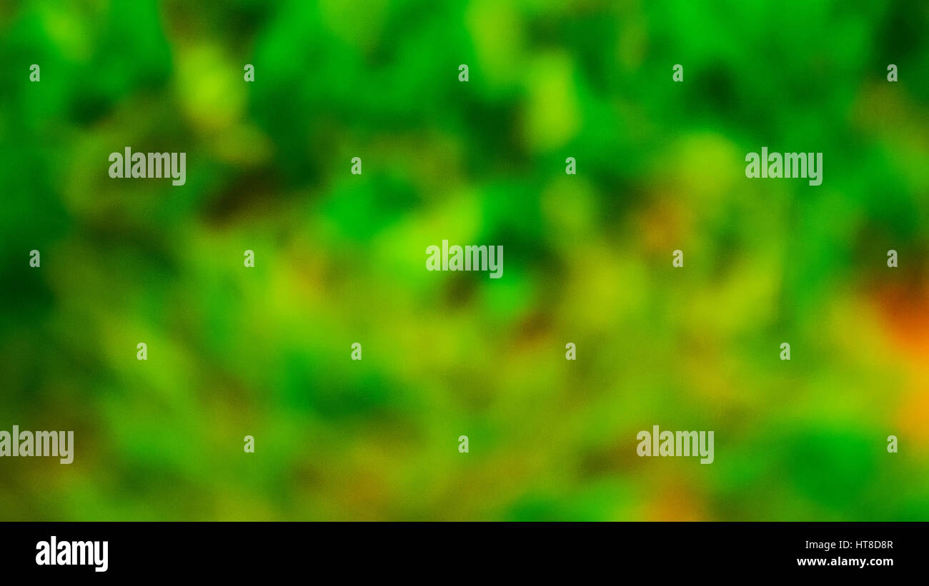 The beautiful and nice blurred green background Stock Photo - Alamy