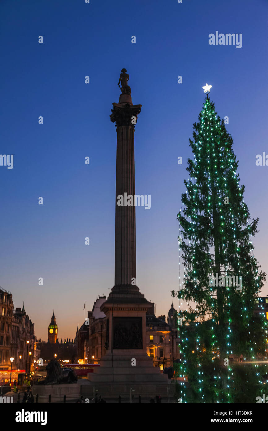 England, London, Trafalgar Square, Christmas Tree and Nelson's Column ...