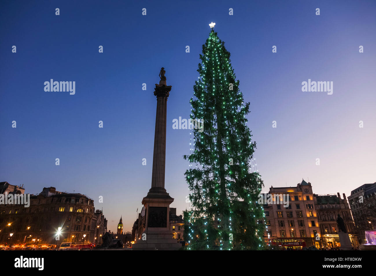 England, London, Trafalgar Square, Christmas Tree and Nelson's Column ...