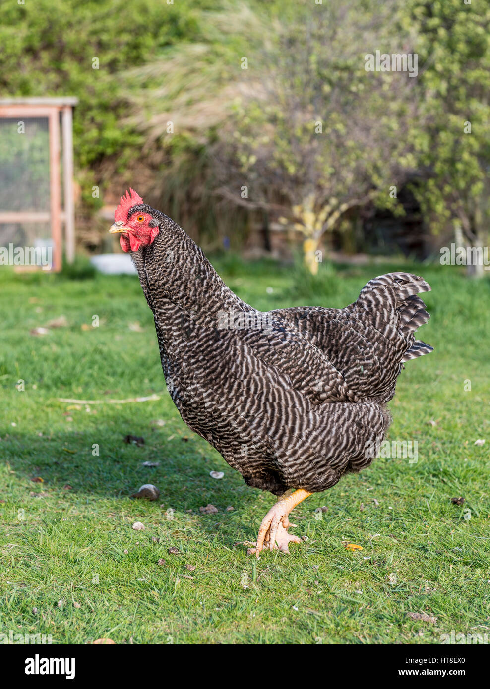 Taieri hi-res stock photography and images - Alamy