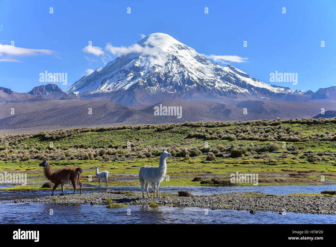 Volcano river hi-res stock photography and images - Alamy