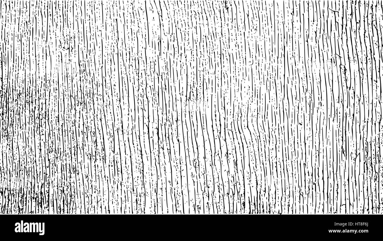 Grunge overlay wooden texture. Vector illustration of black and white ...