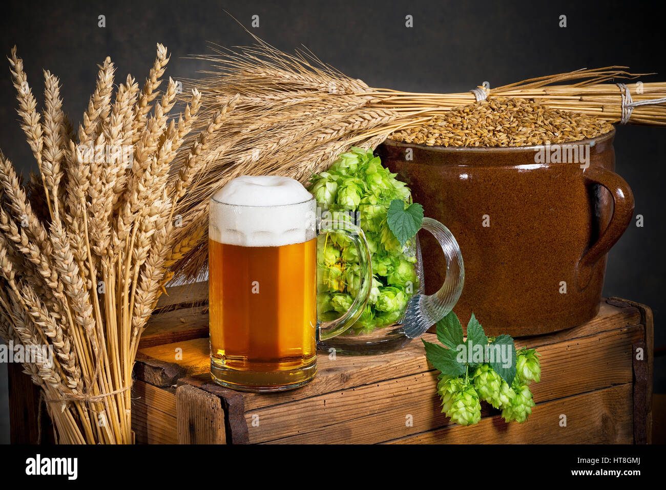 Glass of beer with raw material for beer production Stock Photo - Alamy
