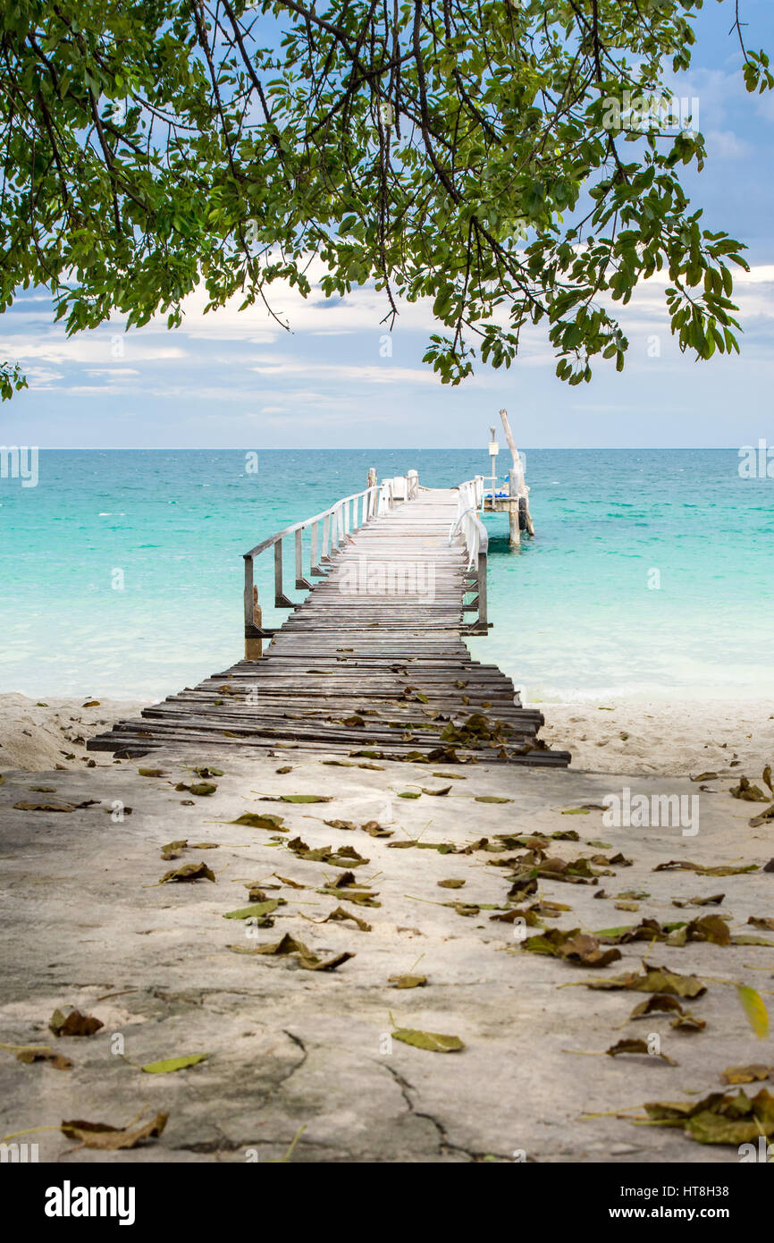 Wooden dock in Thailand tropical paradise with fallen leaves Stock ...