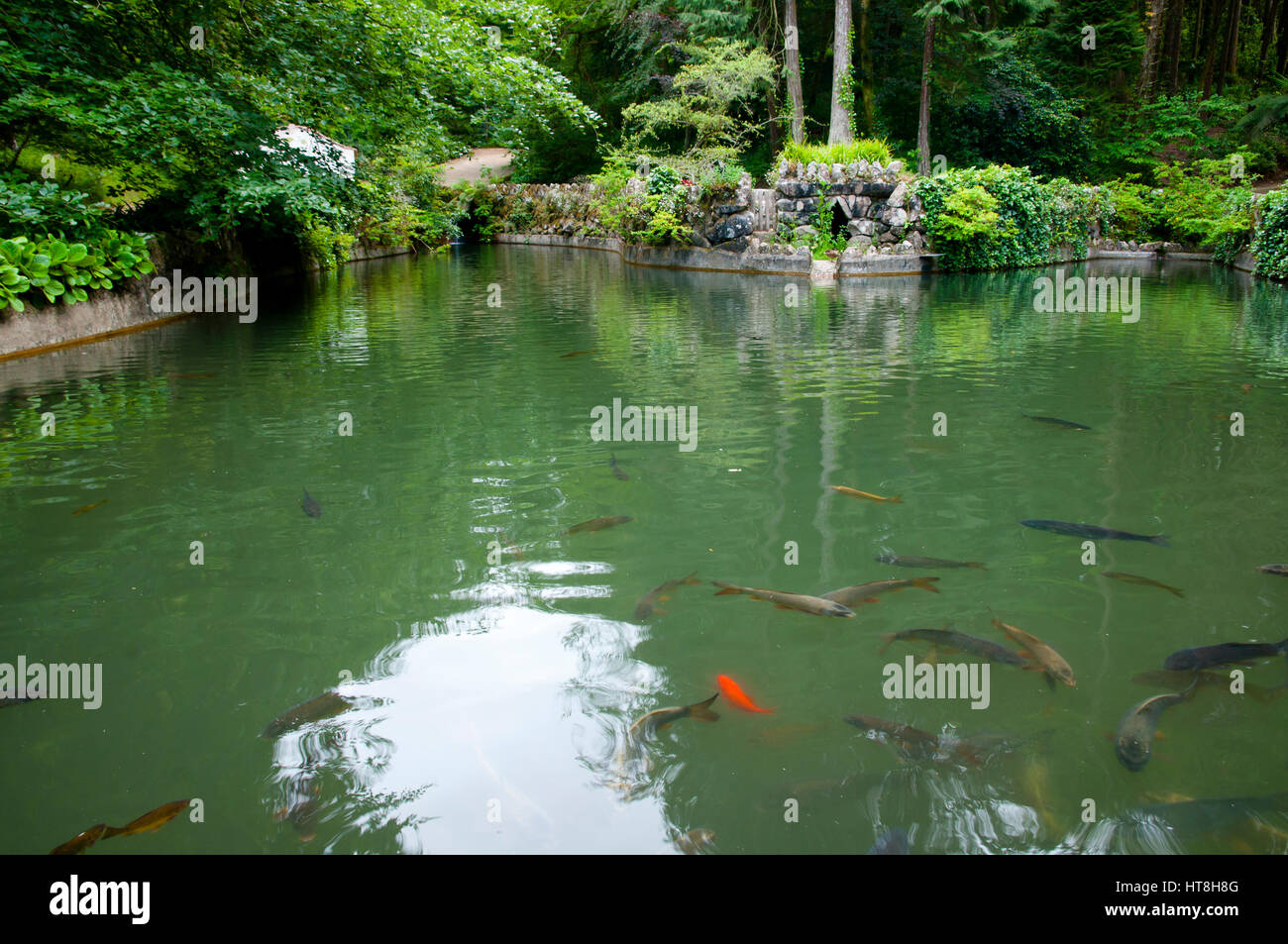 Pena Park Garden - Sintra - Portugal Stock Photo - Alamy