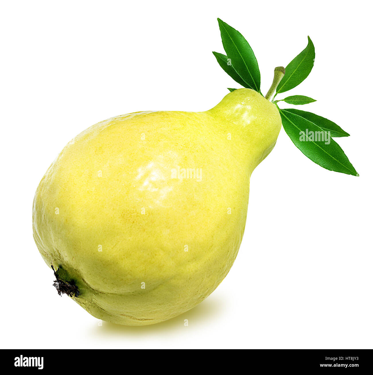 guava isolated on white background Stock Photo - Alamy
