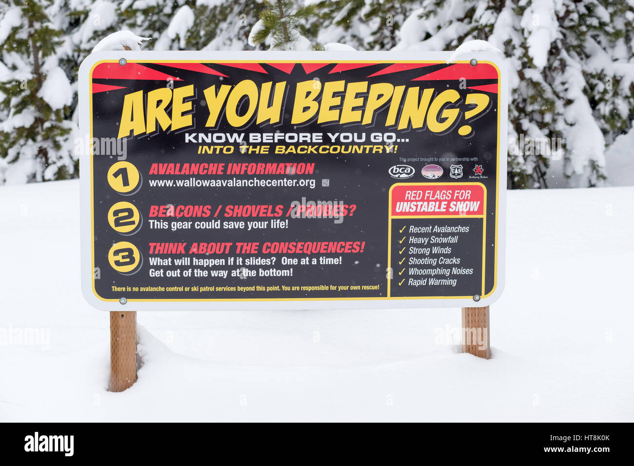 Backcountry Skiing Avalanche