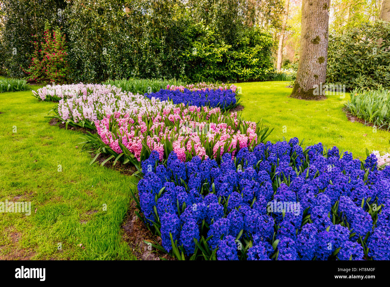 Spring Formal Garden. Beautiful garden of colorful flowers Stock Photo ...