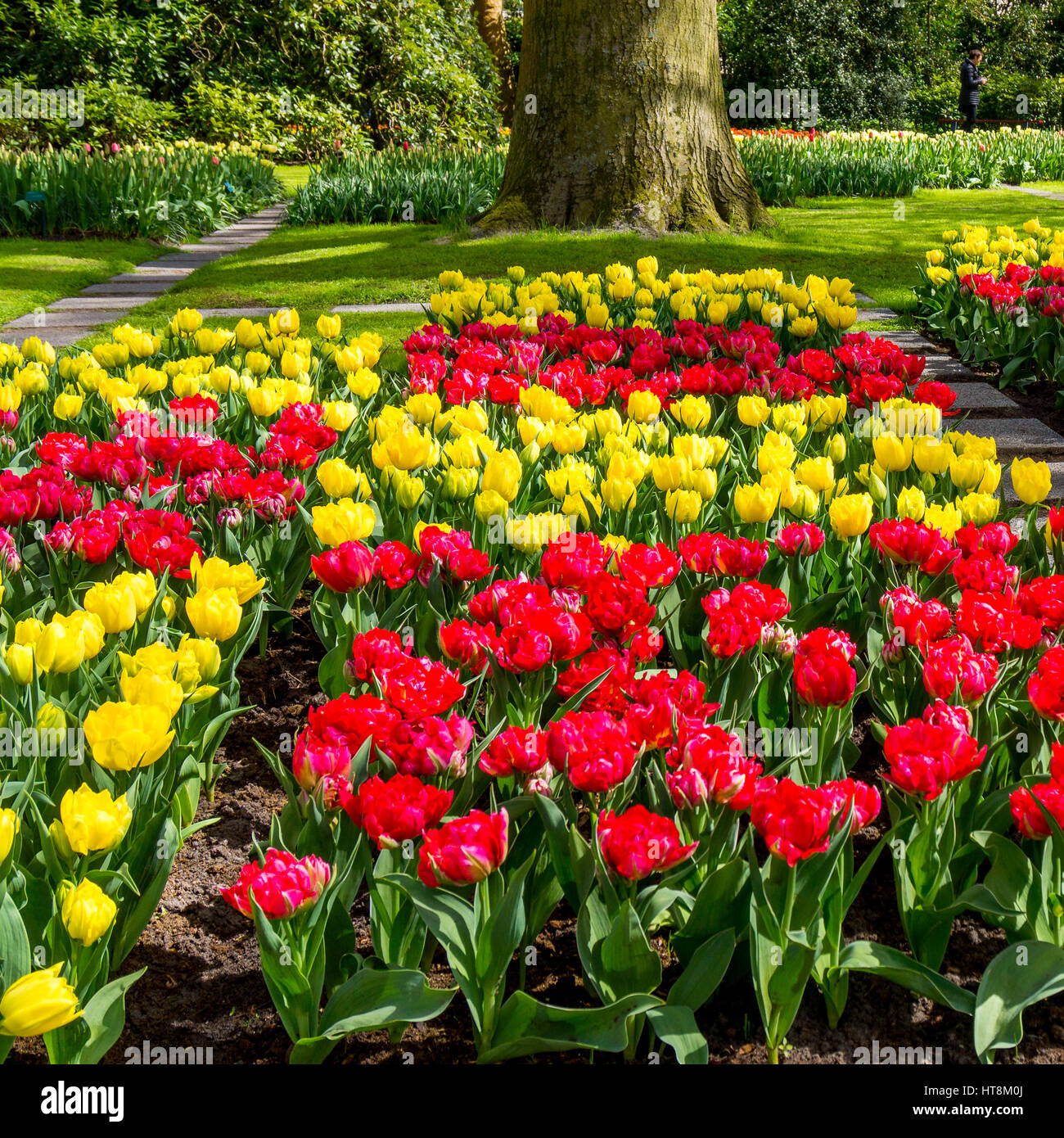 spring landscape. Spring nature background. beautiful garden Stock ...