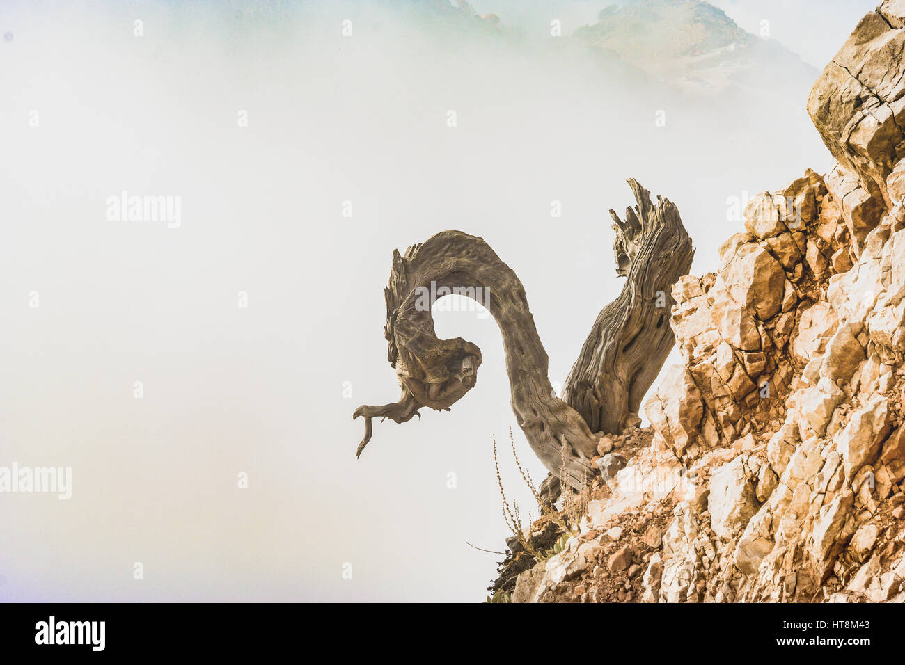 Dragon Style High Resolution Stock Photography and Images - Alamy