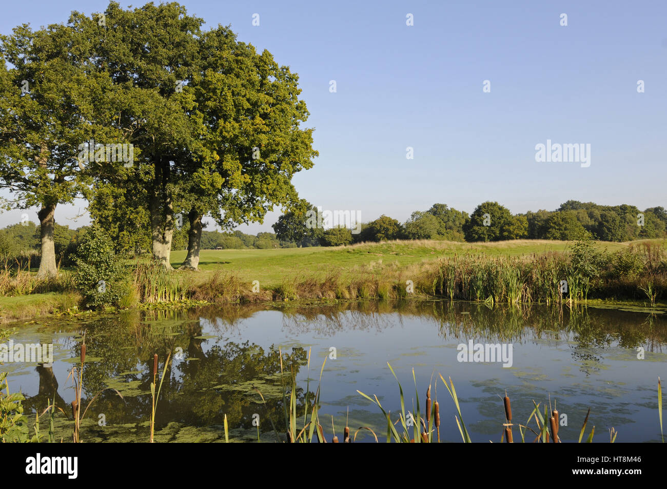 Wildwood golf course hi-res stock photography and images - Alamy