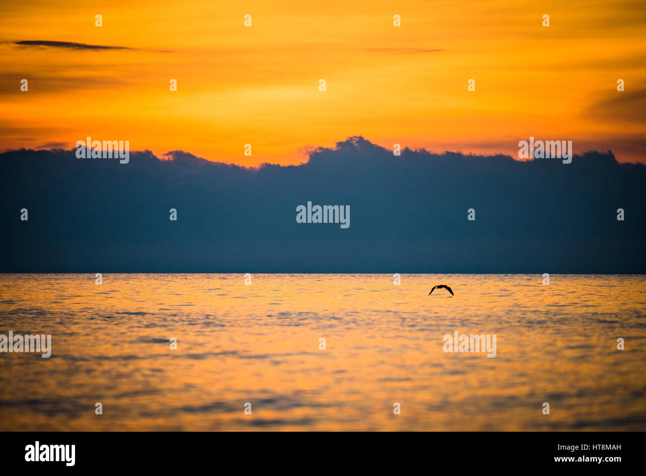 Going home alone Stock Photo - Alamy