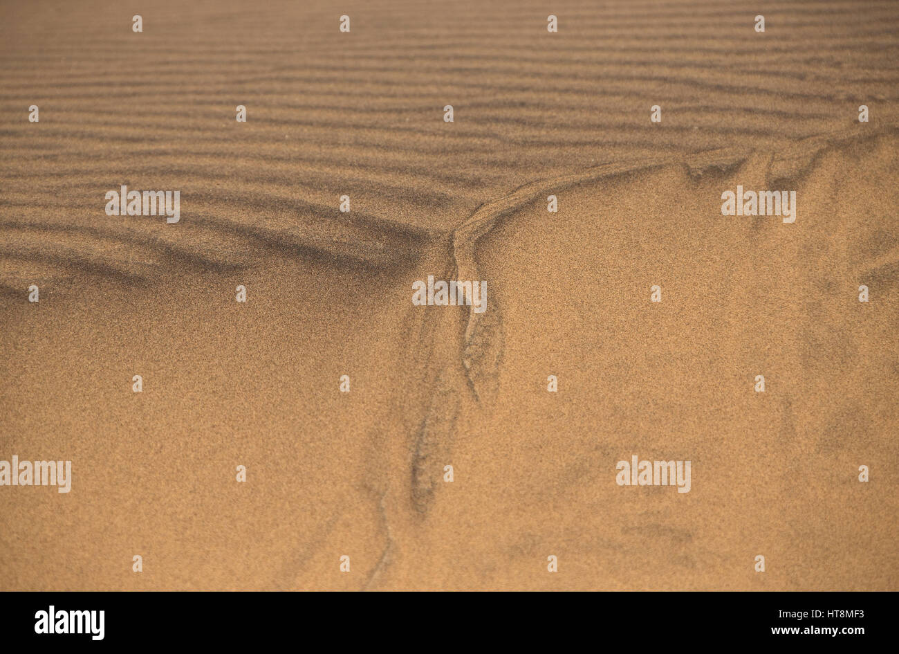 Wind patterns in the sand of the Namib Desert Stock Photo - Alamy