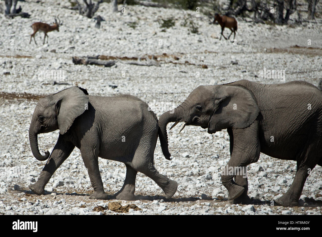 Nudge nudge hi-res stock photography and images - Alamy