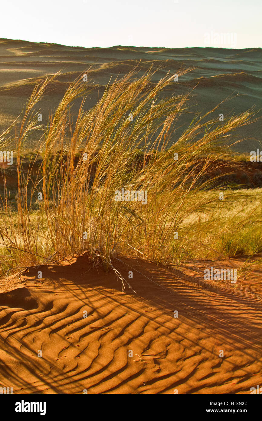 Marham hi-res stock photography and images - Alamy