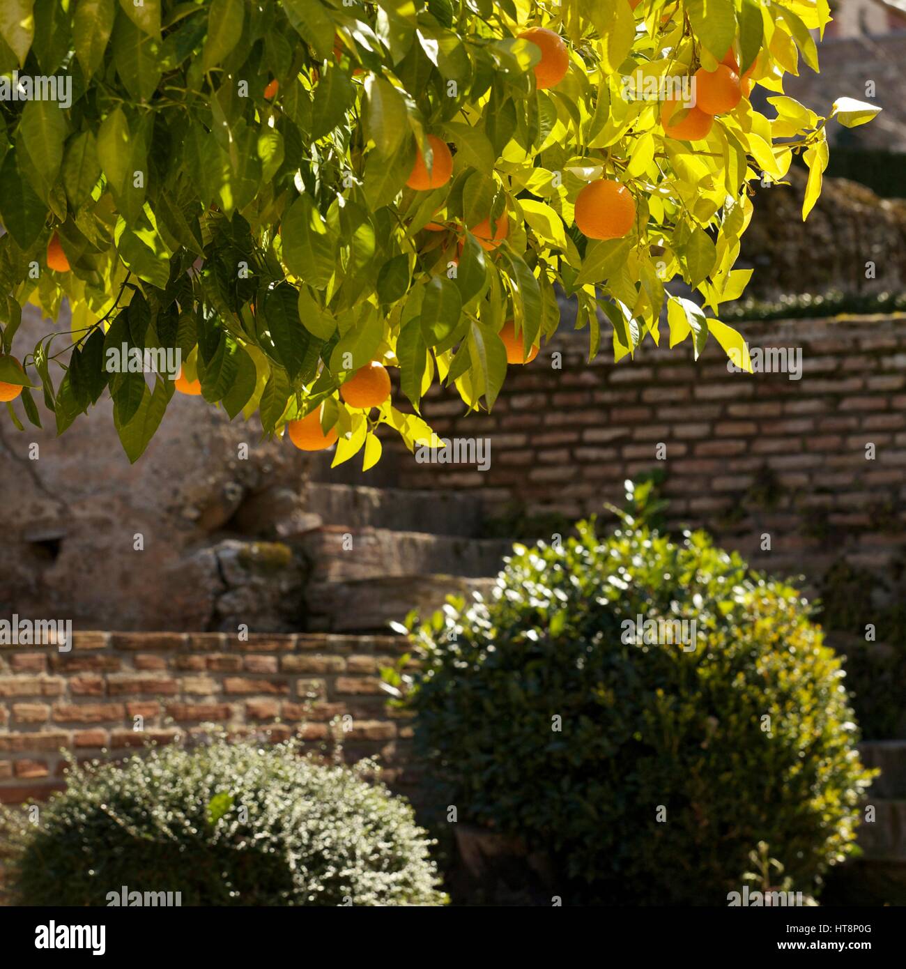 Garden spheres hi-res stock photography and images - Alamy