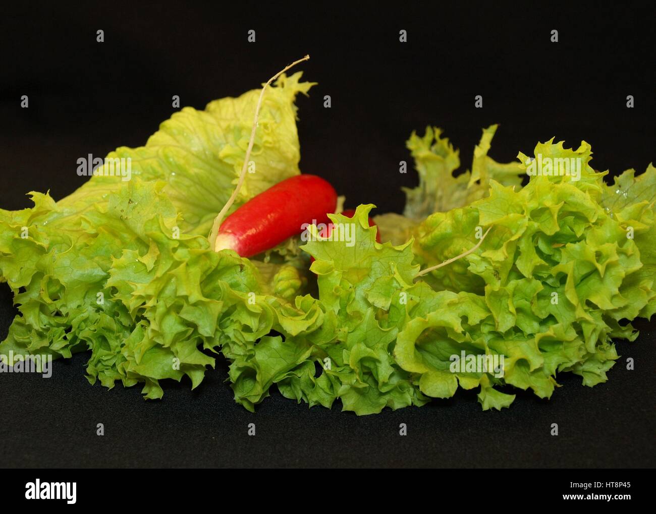 Lettuce and radish hi-res stock photography and images - Alamy