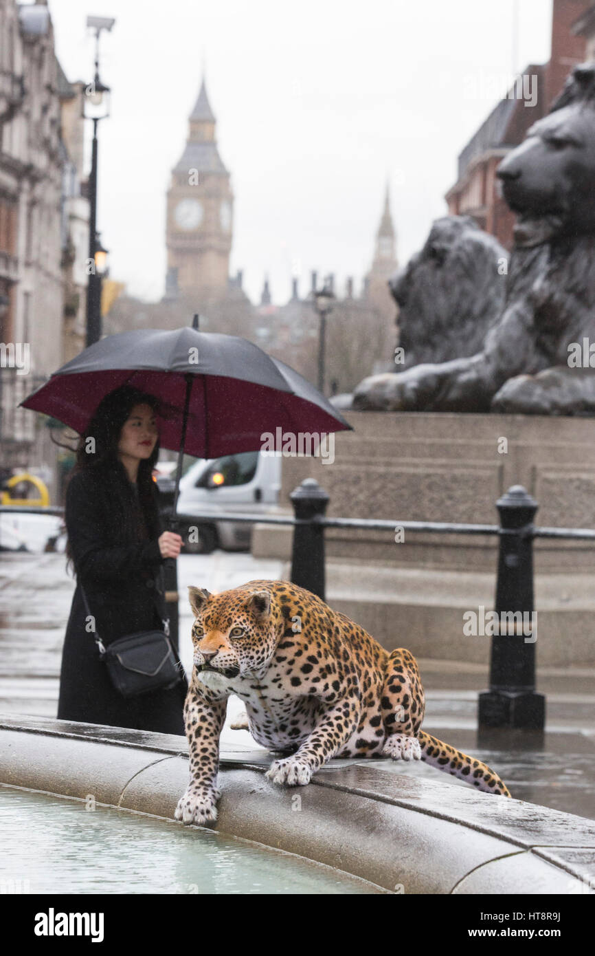 London, UK. 8 March 2017. Nat Geo WILD unveils the world’s first hyper ...