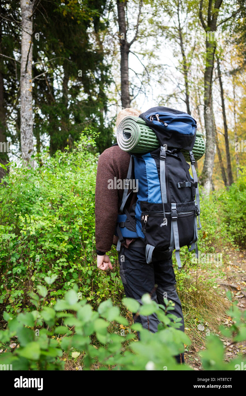 Rear view of young man with backpack hiking in forest Stock Photo - Alamy