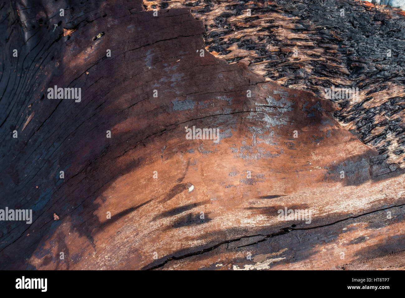 Burnt cedar hi-res stock photography and images - Alamy