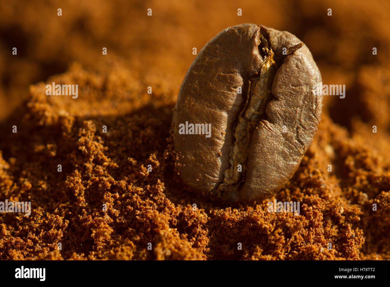 Coffee bean extreme close up macro hi-res stock photography and images ...