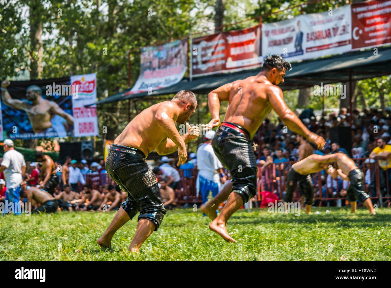 oilwrestling game set up. yagli gures oyun kurma Stock Photo - Alamy