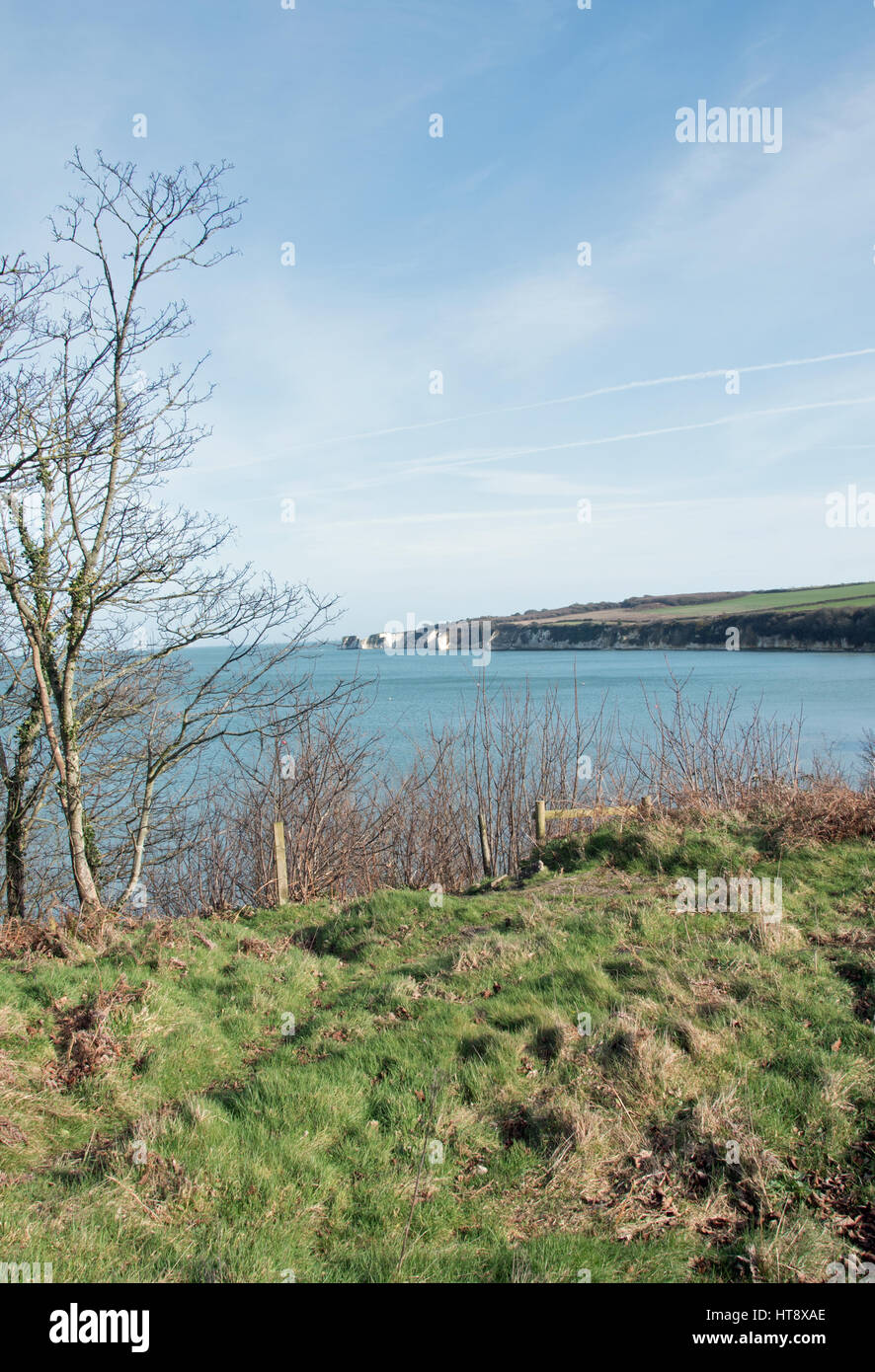 Old Harry Rocks Stock Photo - Alamy
