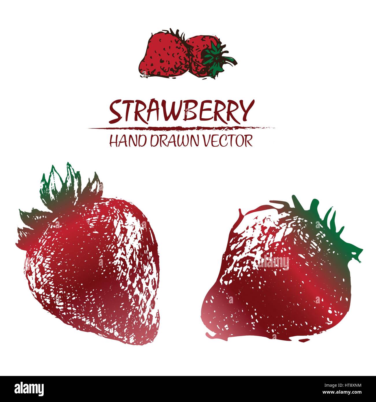 Digital vector detailed color strawberry hand drawn retro illustration ...