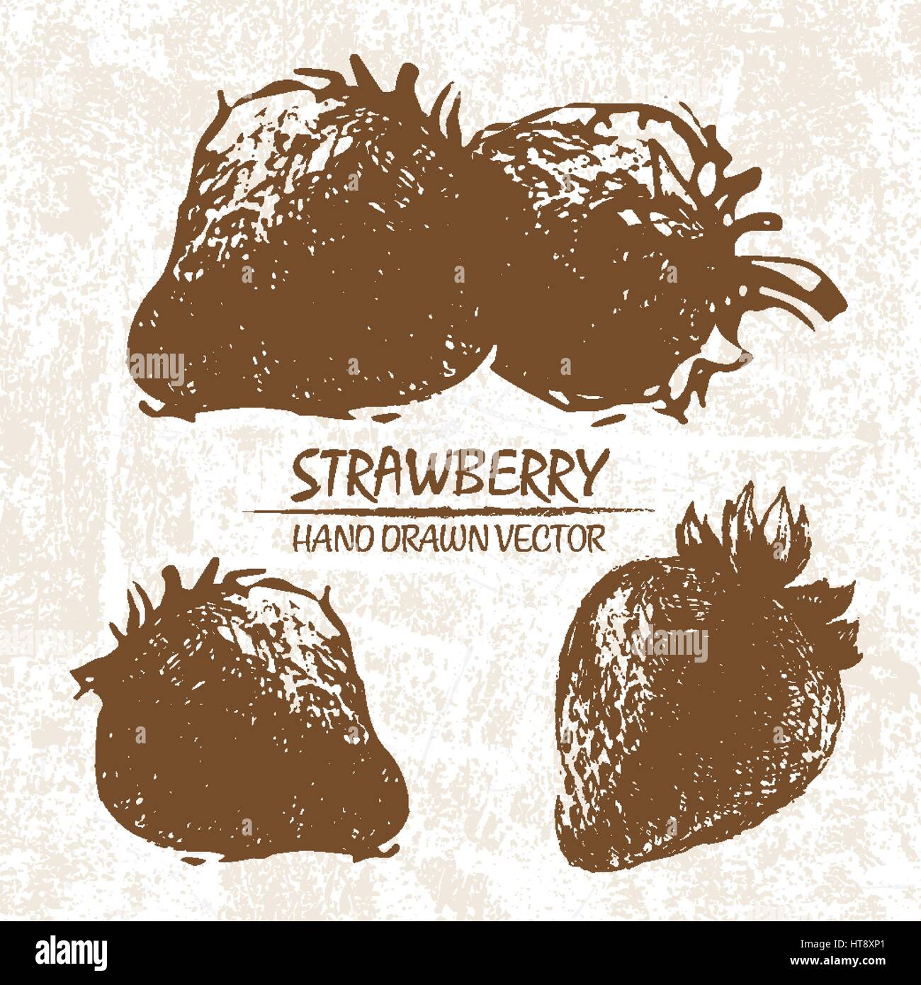 Digital vector detailed strawberry hand drawn retro illustration ...