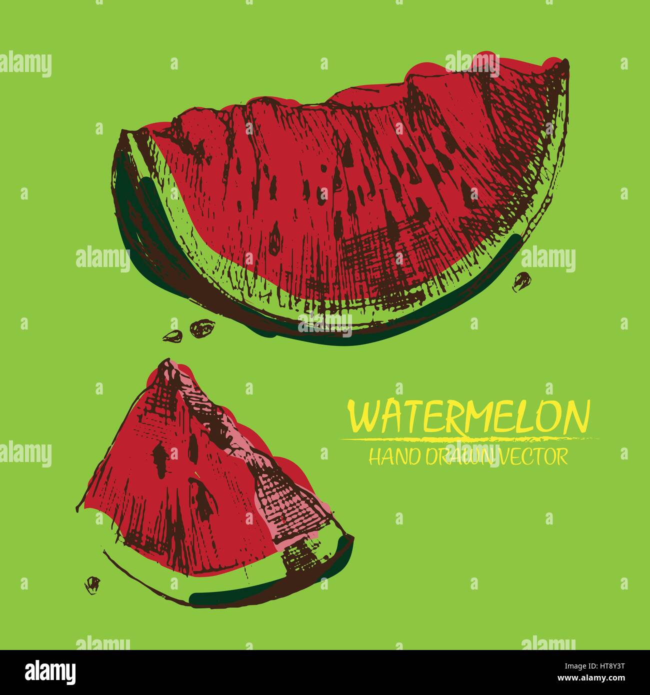 Digital vector detailed color watermelon hand drawn retro illustration ...