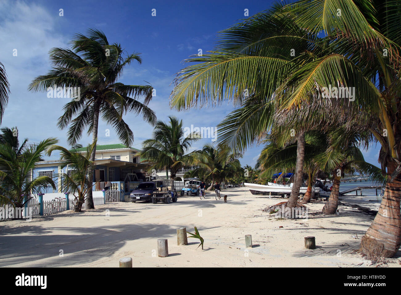 Caribbean landscape / Ambergris Caye, Belize Stock Photo - Alamy