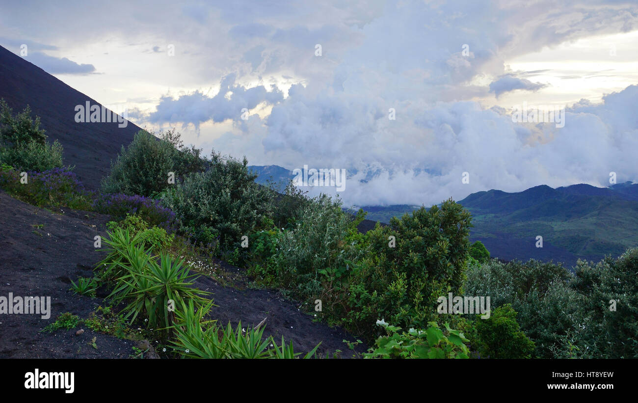 Pacaya volcano / Guatemala Stock Photo - Alamy
