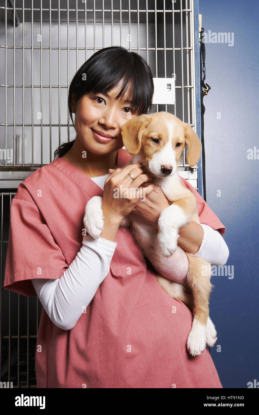 Asian woman veterinarian holding dog hi-res stock photography and ...
