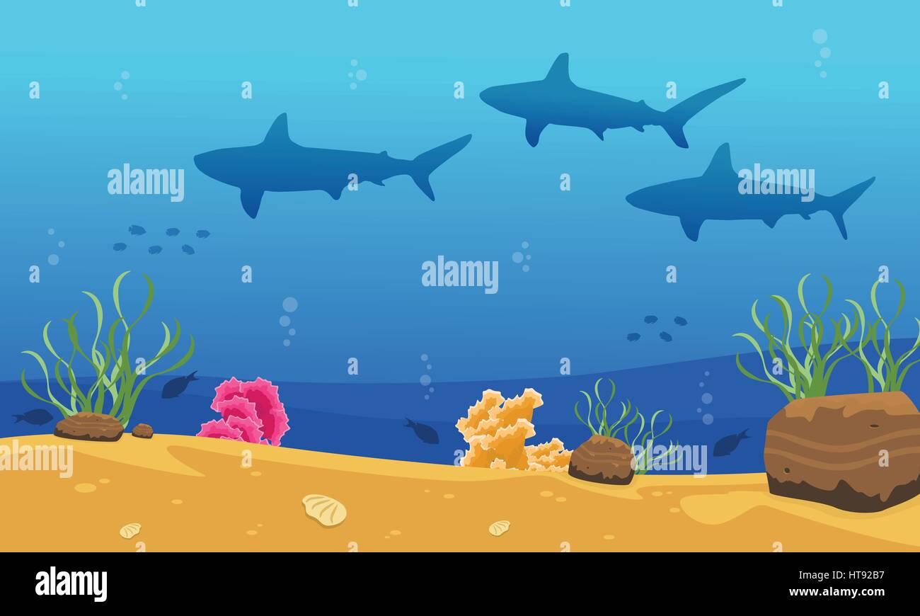 Beauty ocean landscape with shark Stock Vector Image & Art - Alamy
