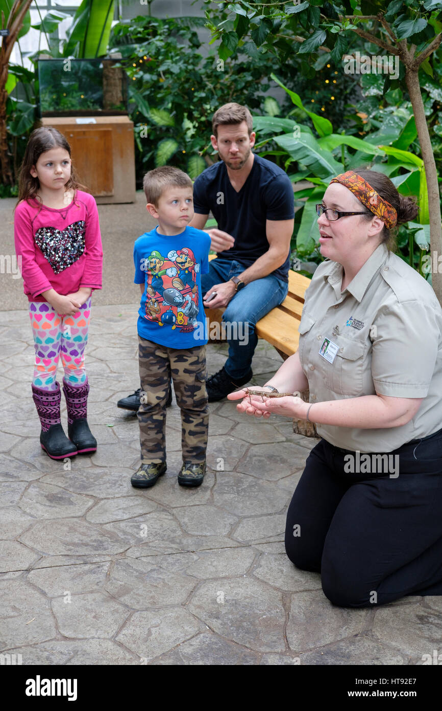 Cambridge Butterfly Conservatory nature interpreter showing a female ...