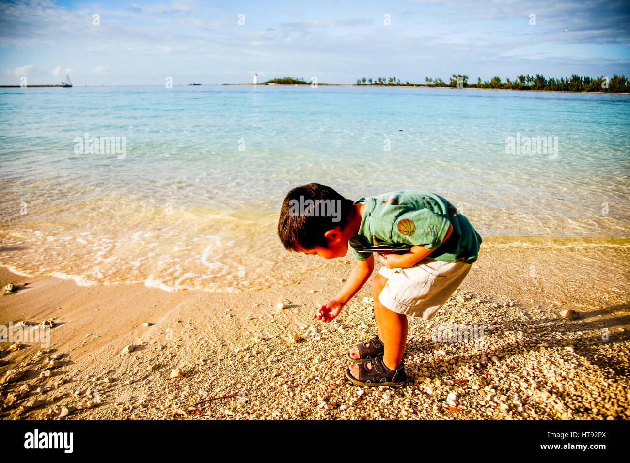 Child picks shell hi-res stock photography and images - Alamy