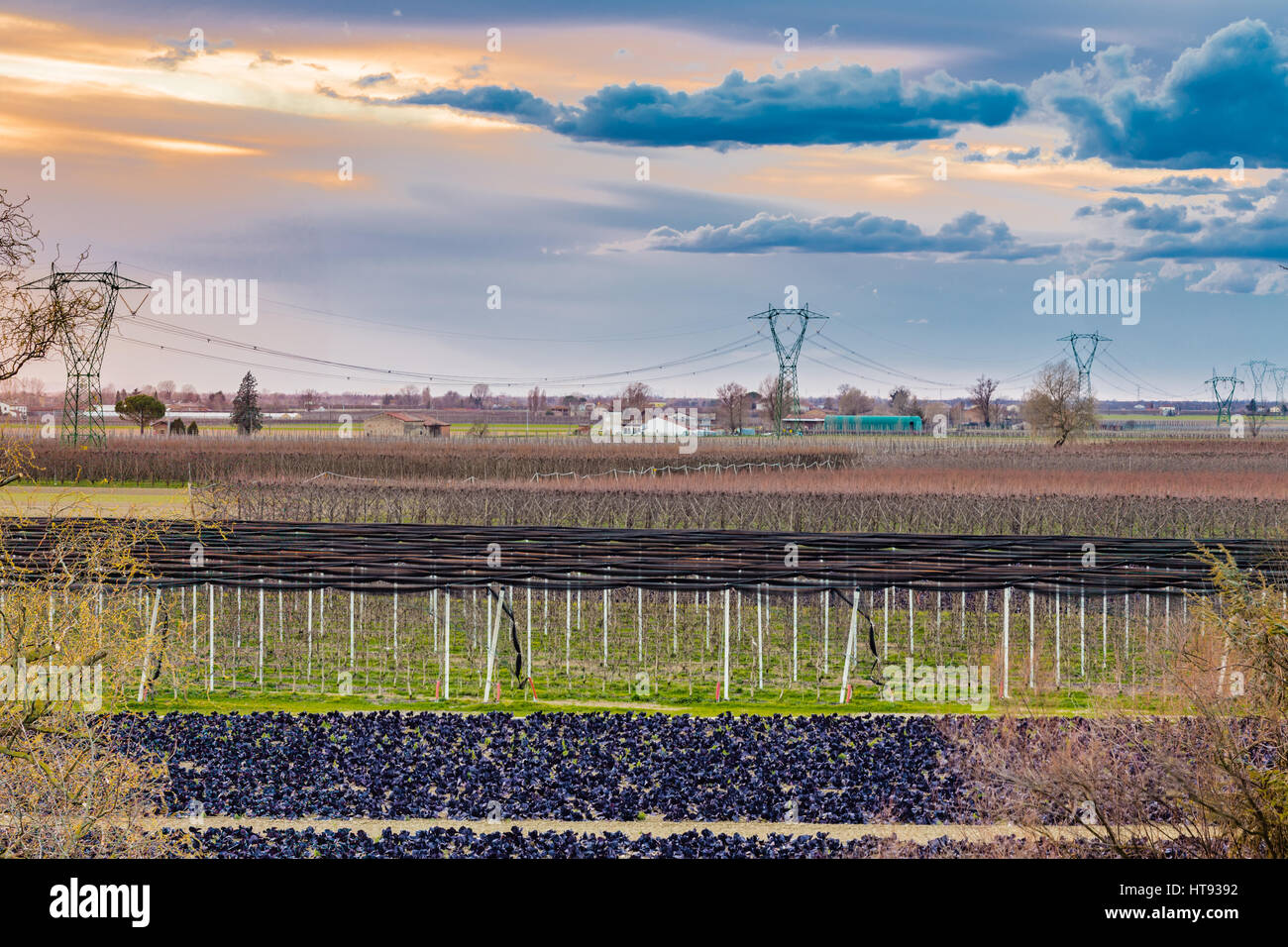 High voltage electricity pylons and power line in cultivated fields in ...