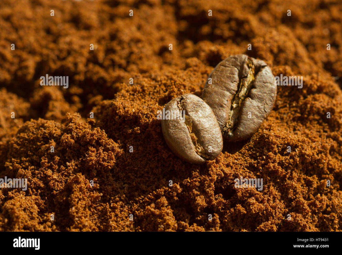 Two coffee beans on ground coffee with white background Stock Photo - Alamy