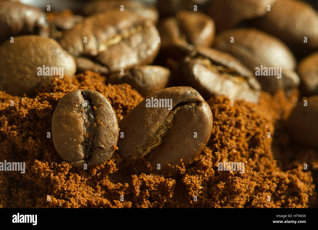 Two coffee beans on ground coffee with white background, horizontal ...