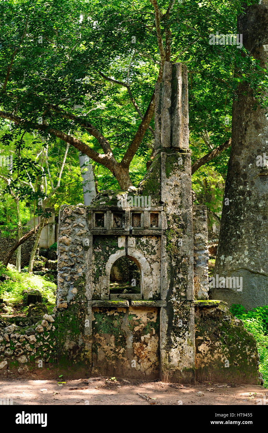 Kenya, Gede ruins are the remains of a Swahili town located in Gedi, a ...