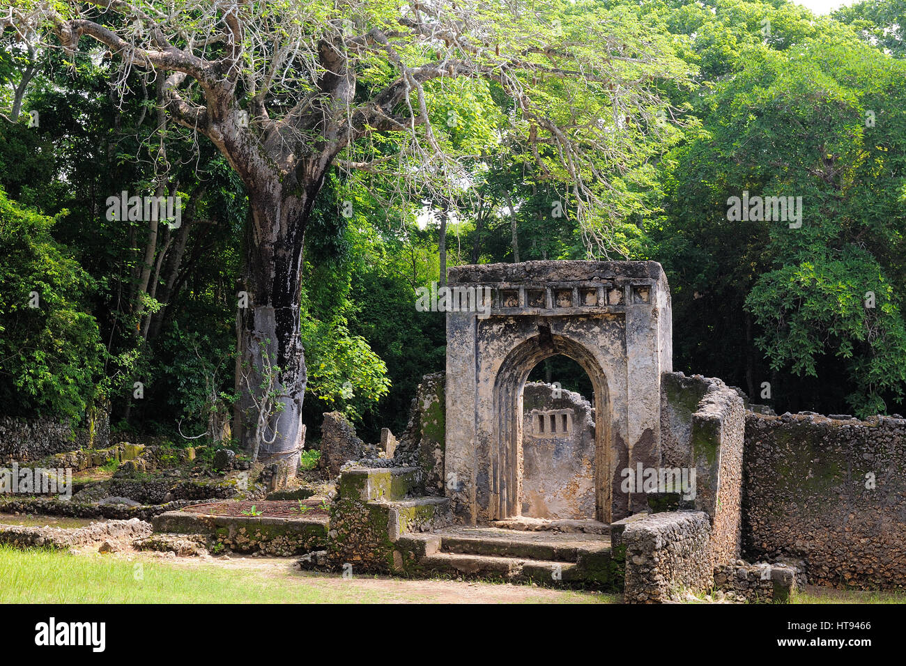 Kenya, Gede ruins are the remains of a Swahili town located in Gedi, a ...