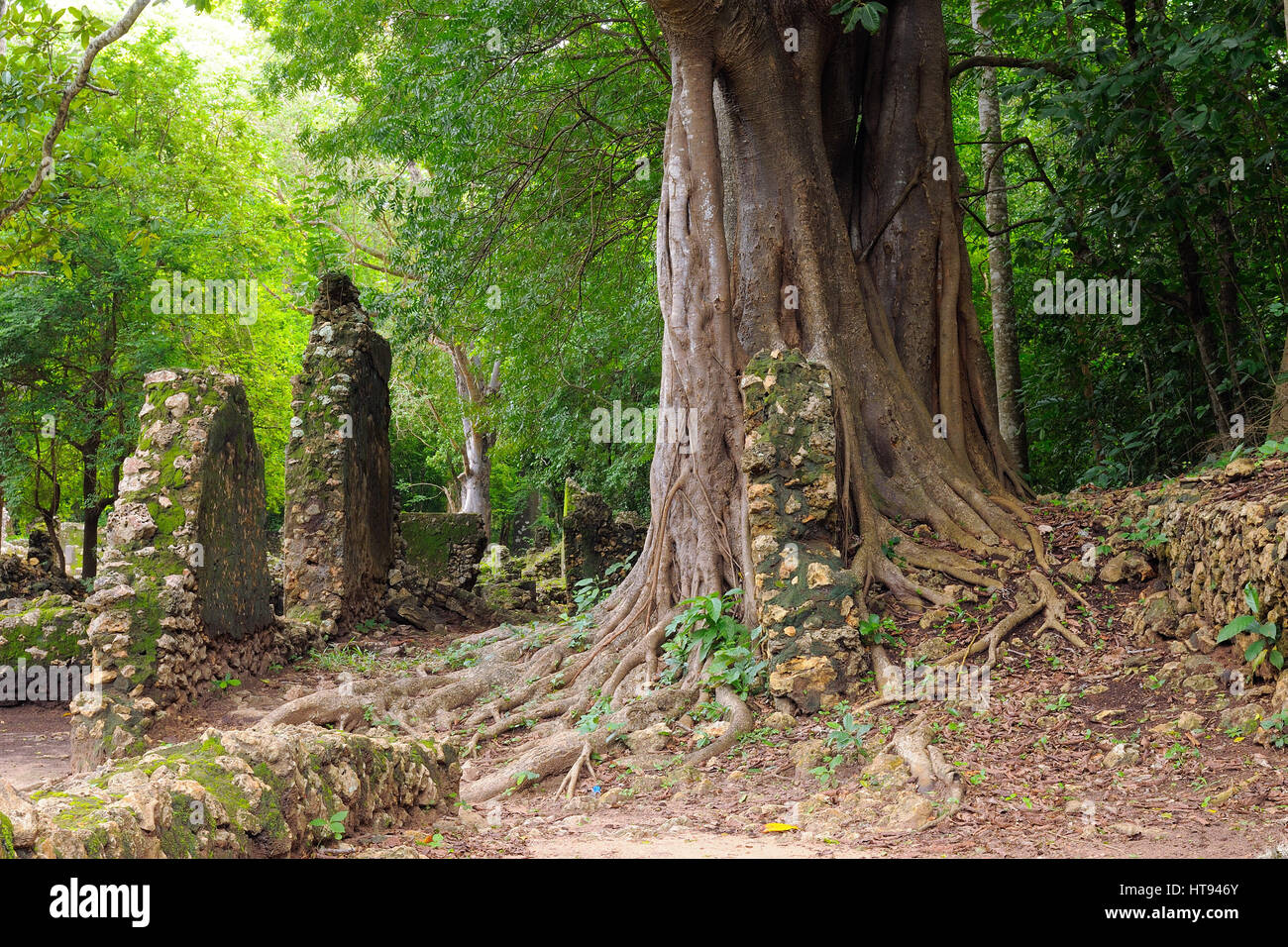 Kenya, Gede ruins are the remains of a Swahili town located in Gedi, a ...