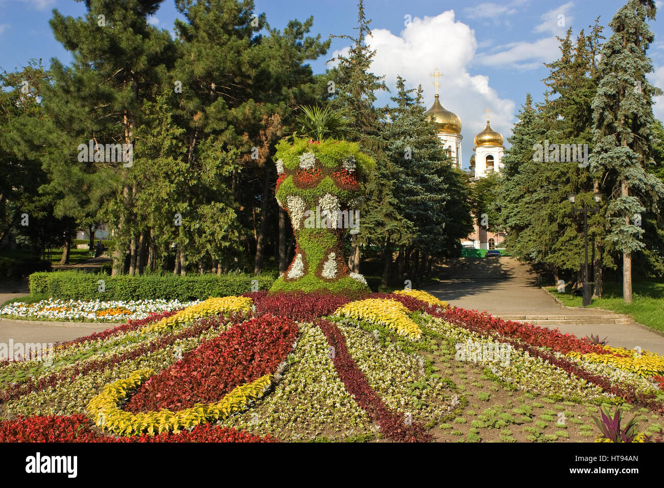 Fresh summer flowerbed of yellow,red and green flowers Stock Photo - Alamy