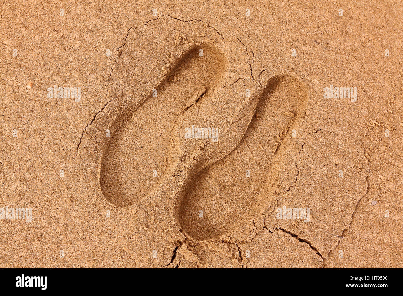 Shoe sole prints hi-res stock photography and images - Alamy