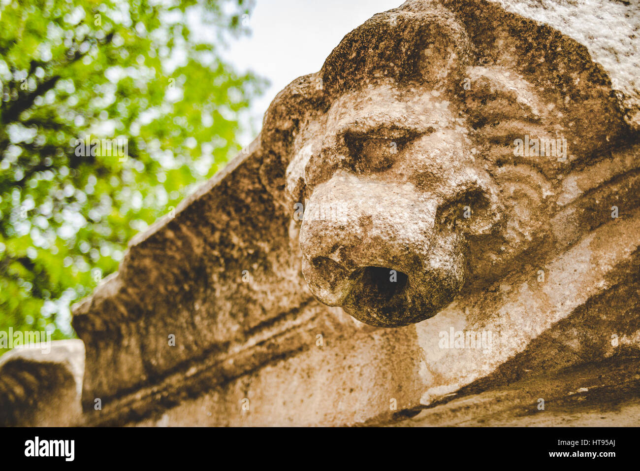 lion head carving Stock Photo - Alamy