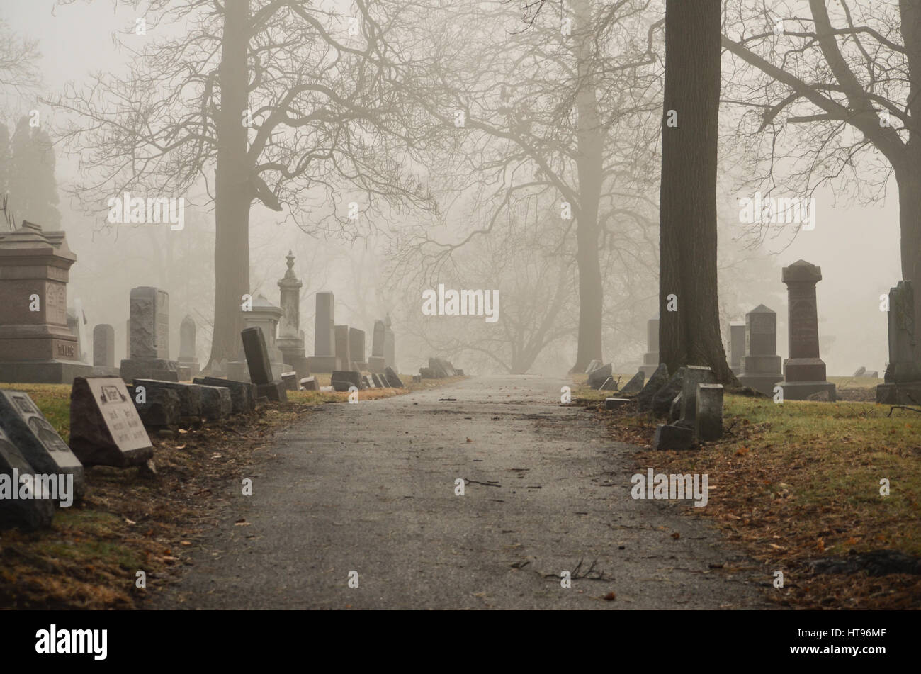 Grave yard and fog hi-res stock photography and images - Alamy